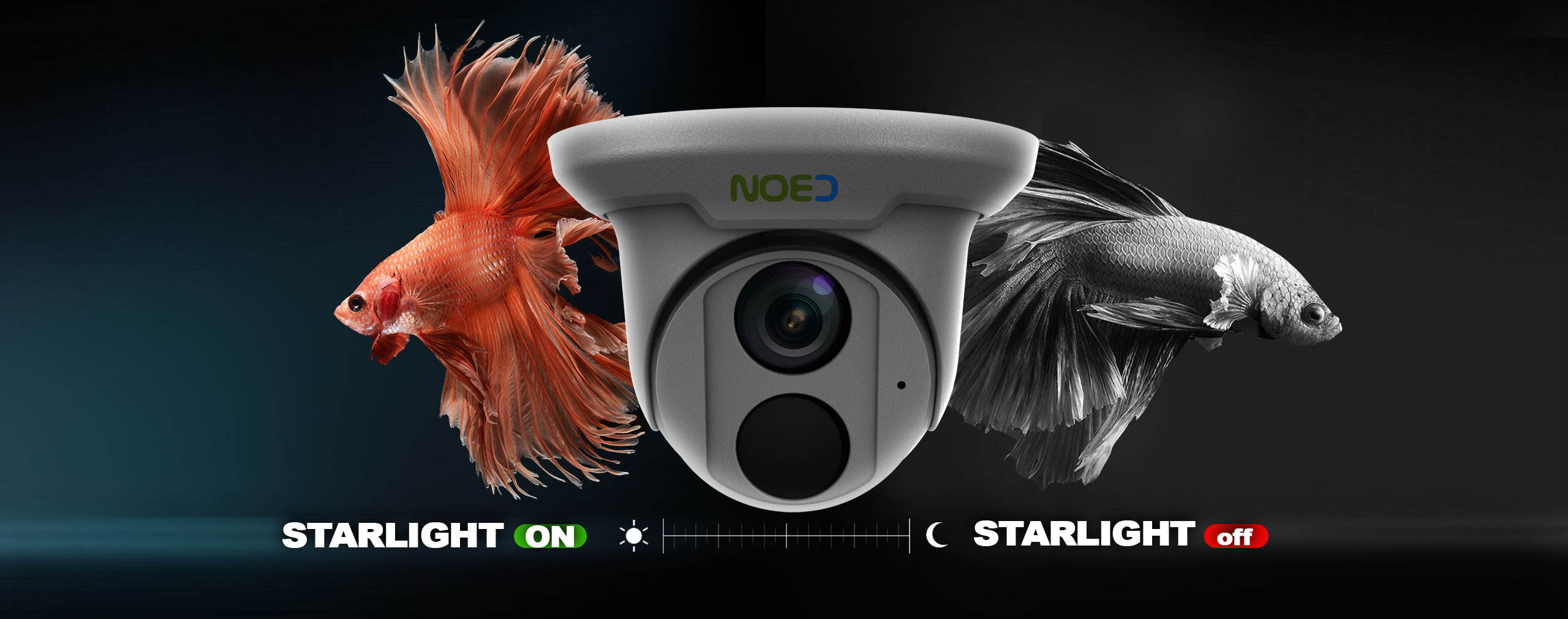 فروشگاه اینترنتی اهتمام